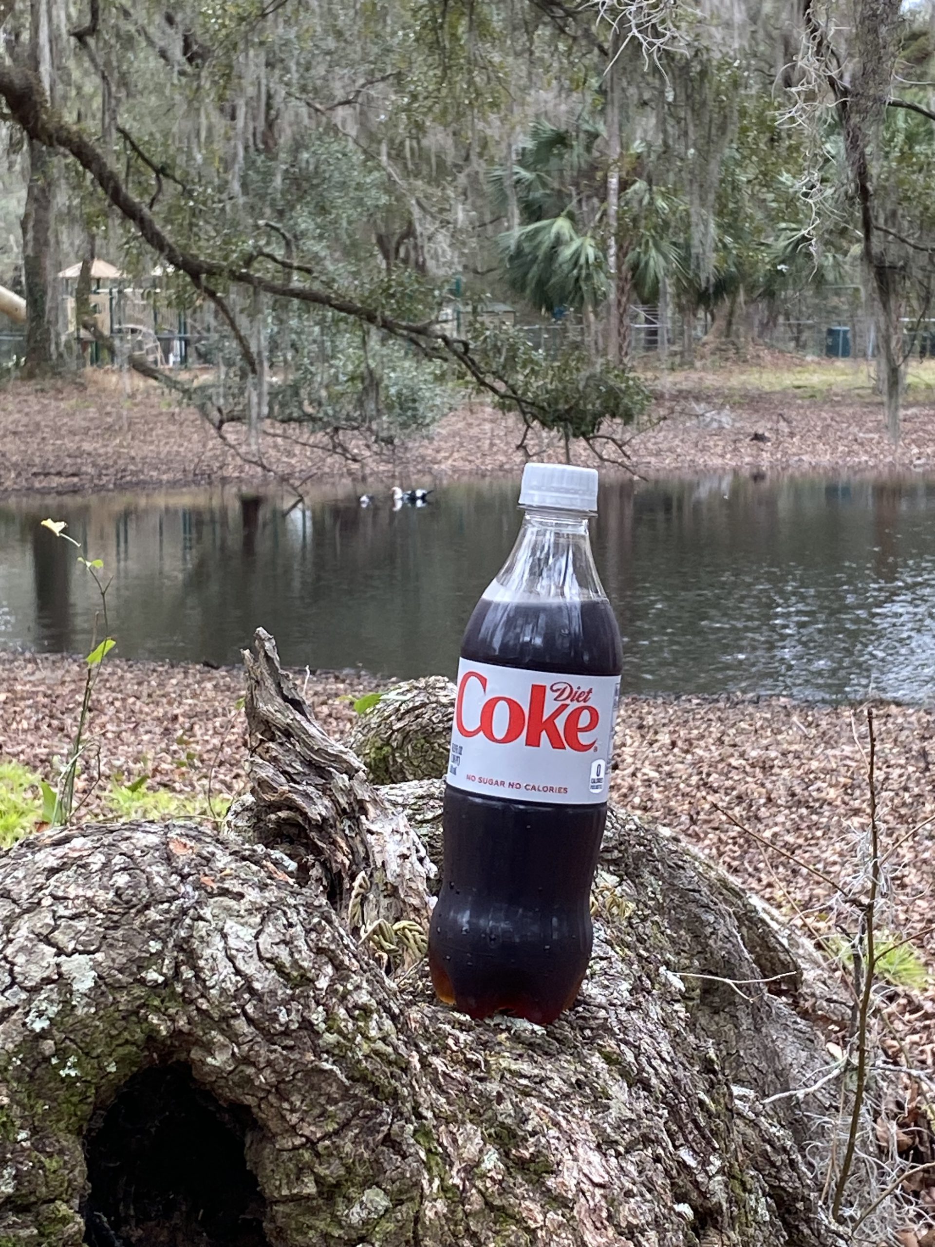 Diet Coke’s Day Out | Dianna Dann